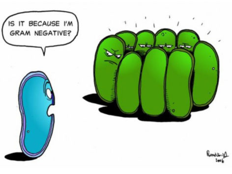 Beyond the Routine: Environmental Exceptions and Unusual Phenomena with ...